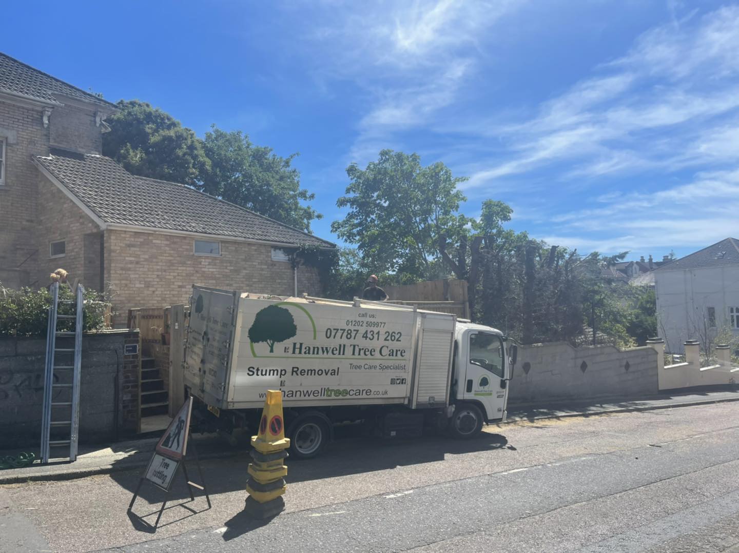 Tree Surgeon Wimborne