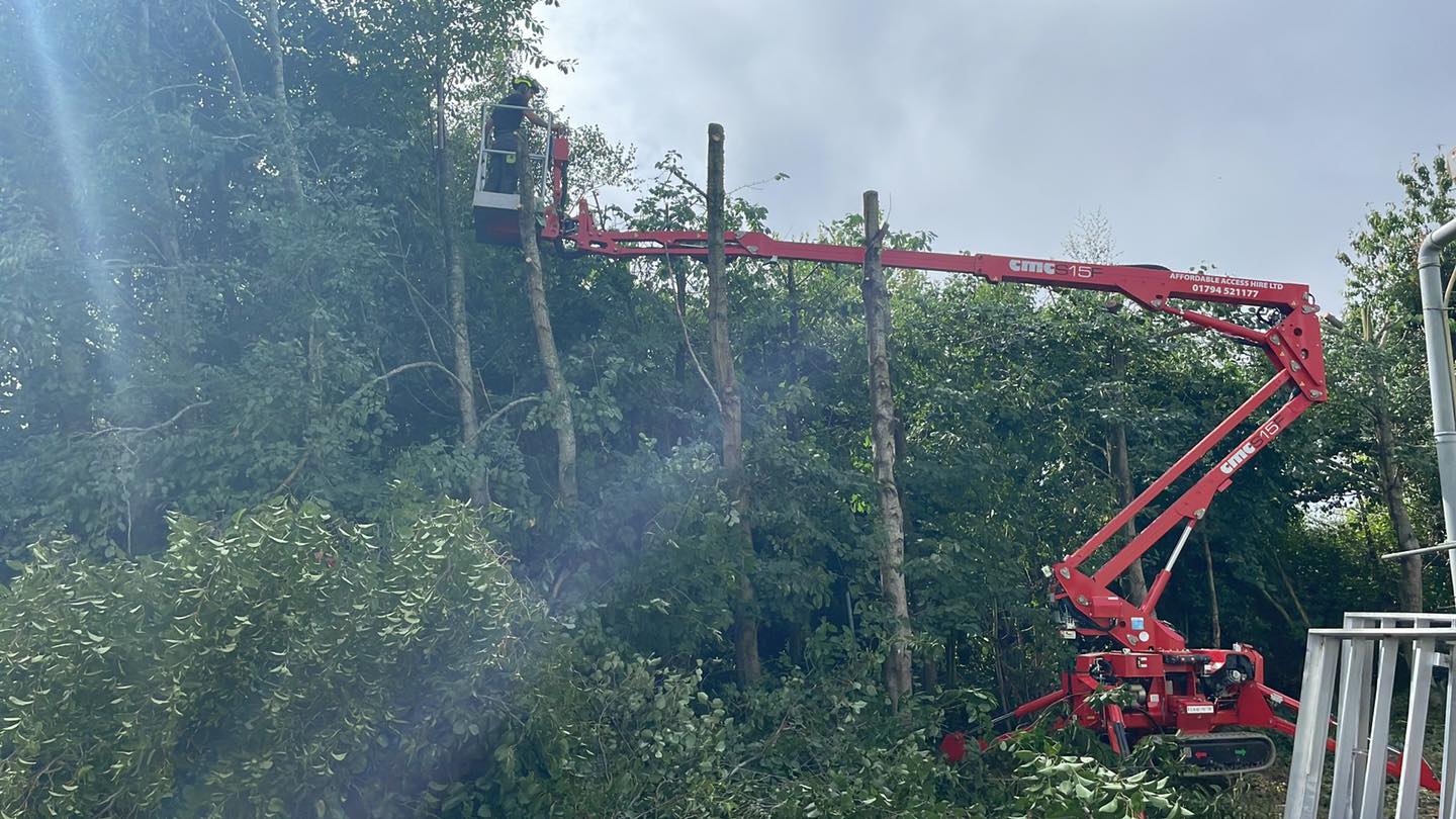 Tree Surgeon Wimborne
